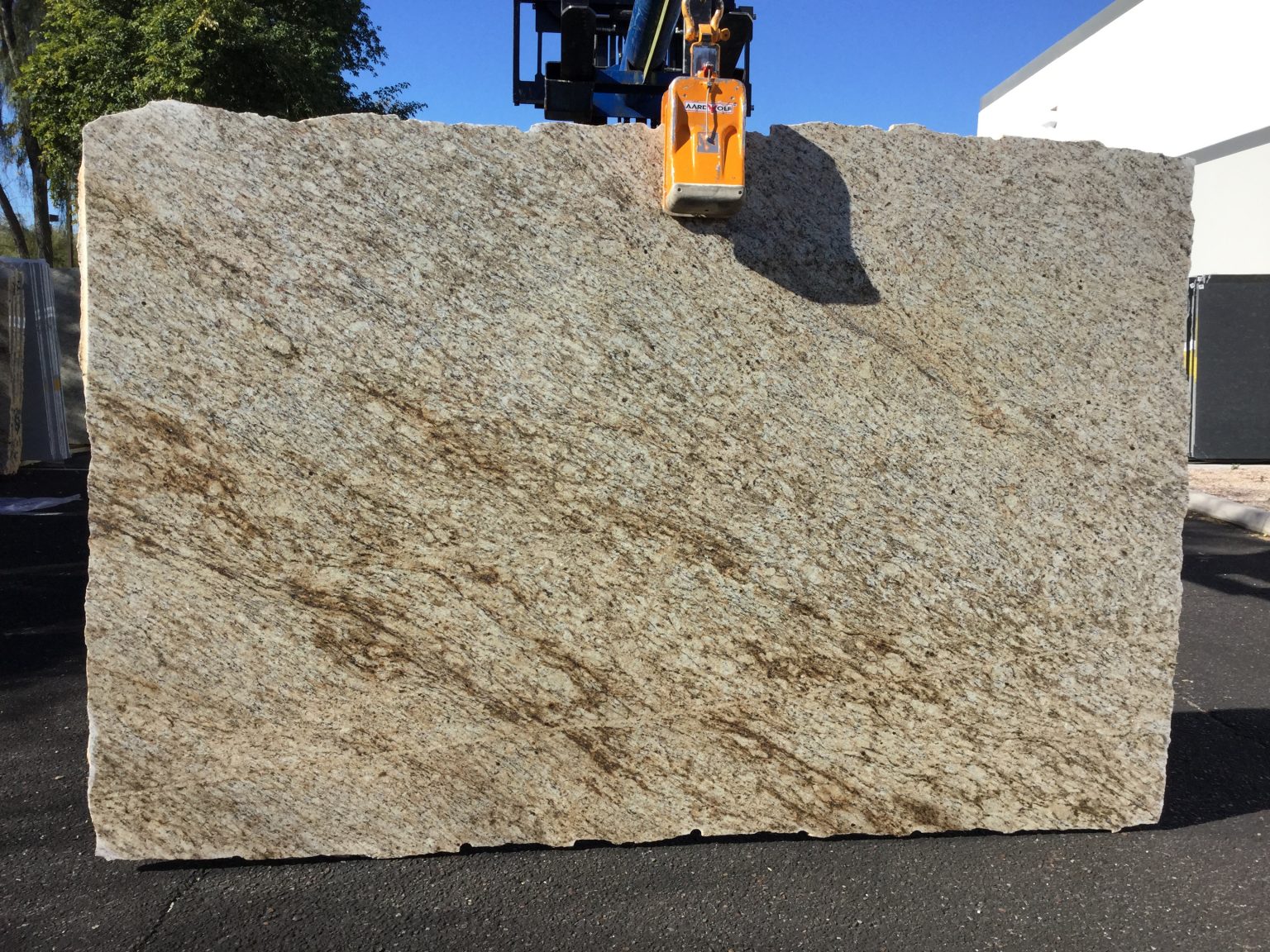 Gaillo Ornamental - SCS Tile