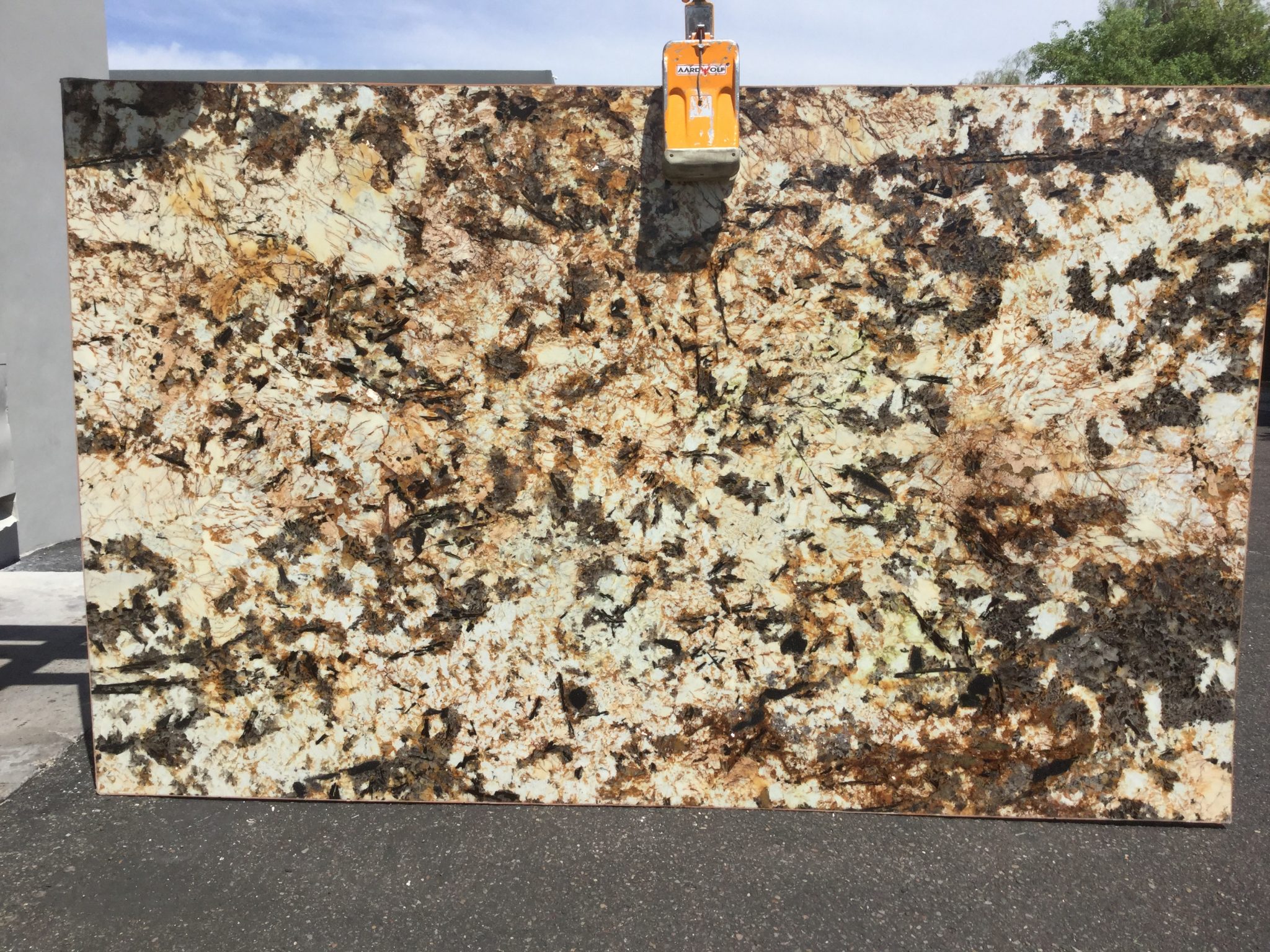 Splendour Gold - SCS Tile